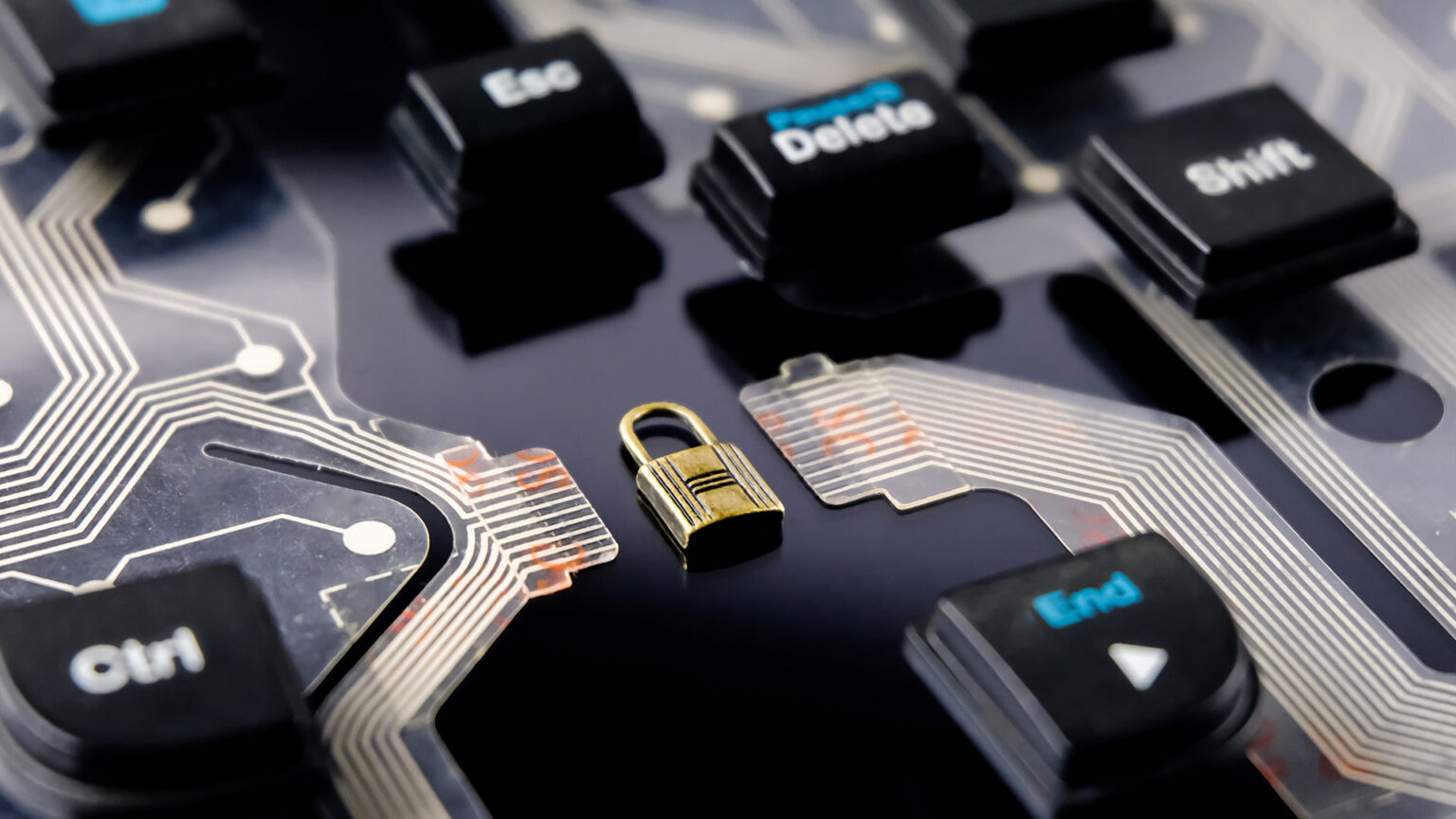 DVBE Technology Colombia SAS | DVBE Technology Colombia SAS